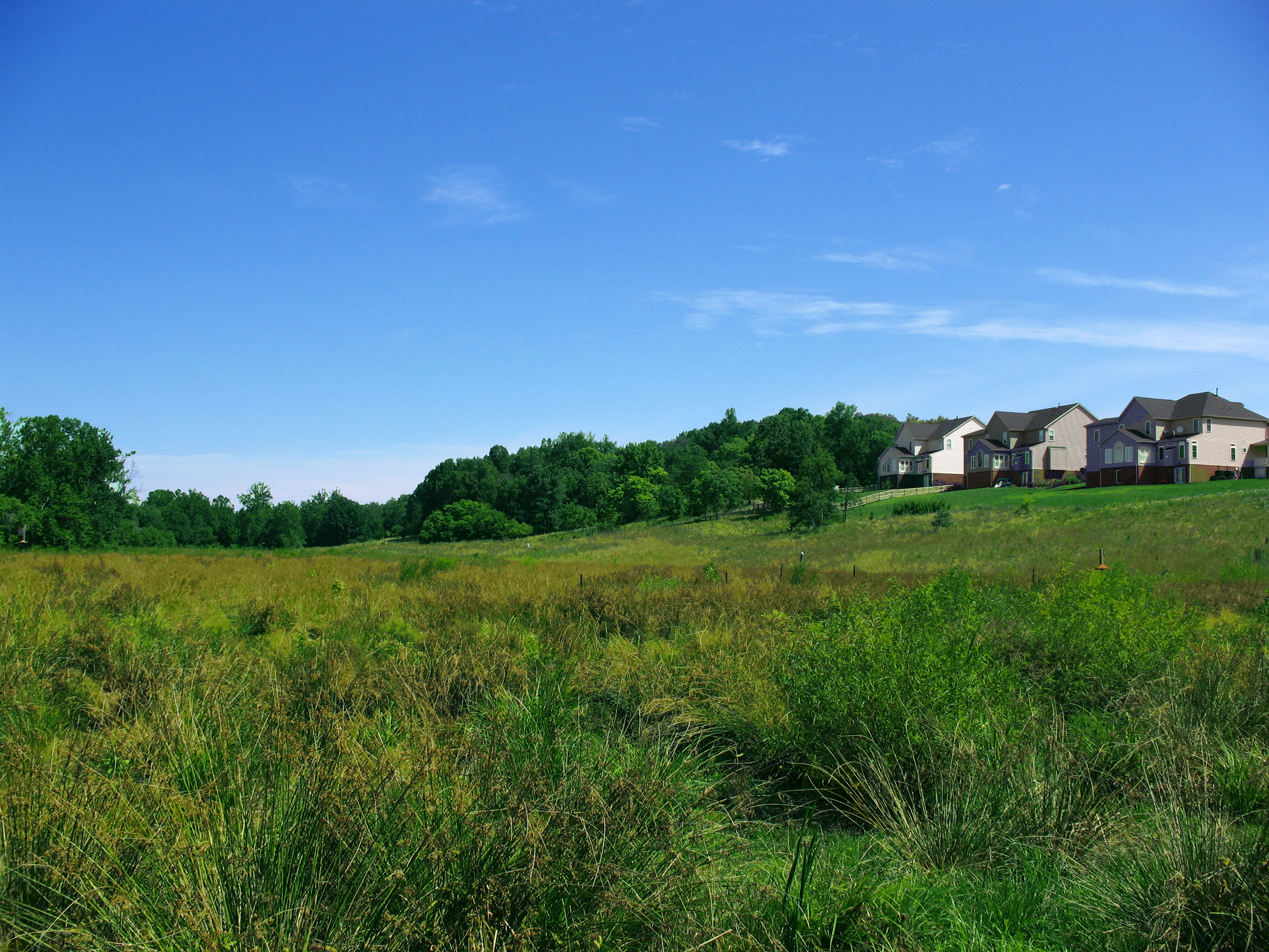 Mitigation Banking Credits