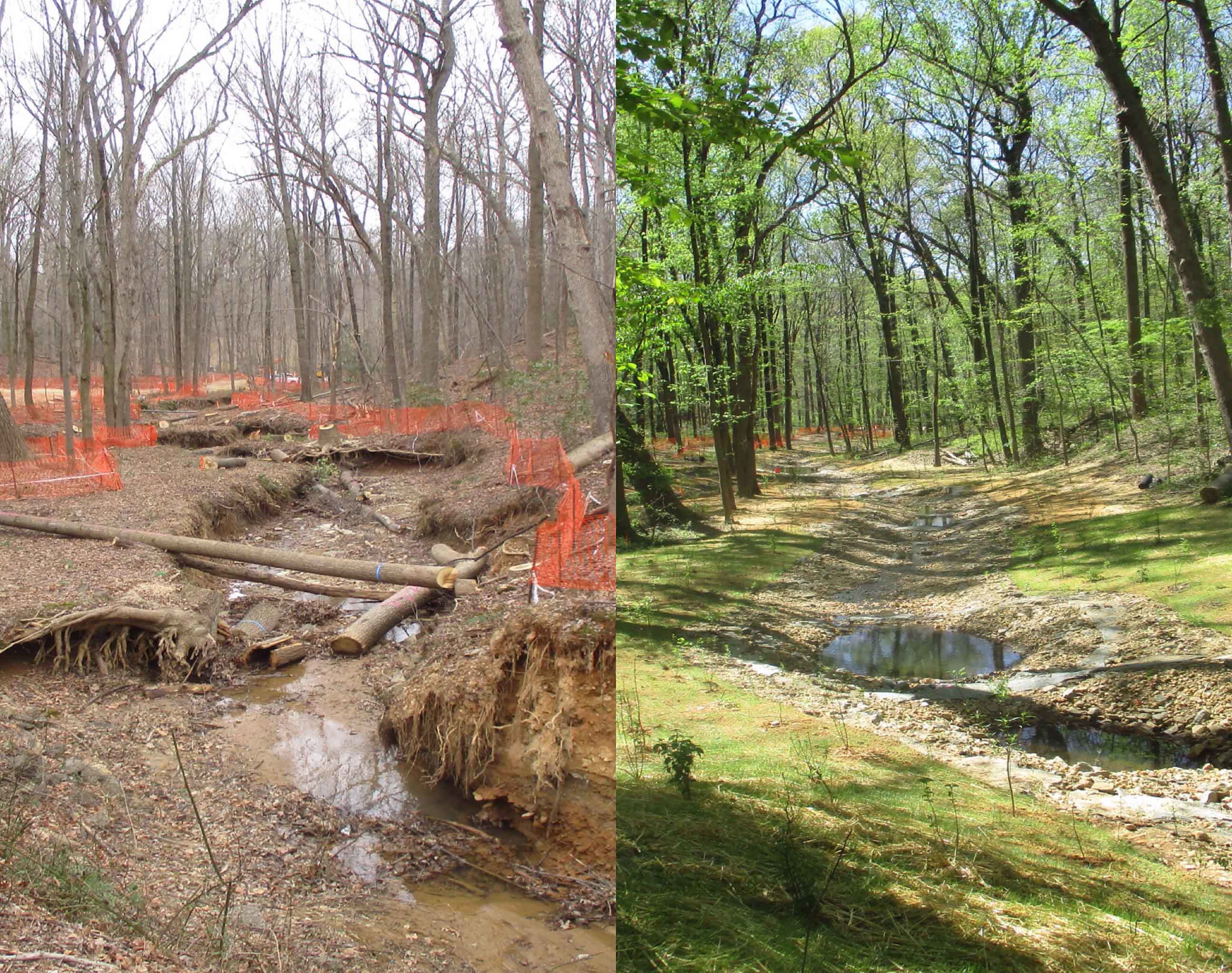 Benefits of Conservation Easement